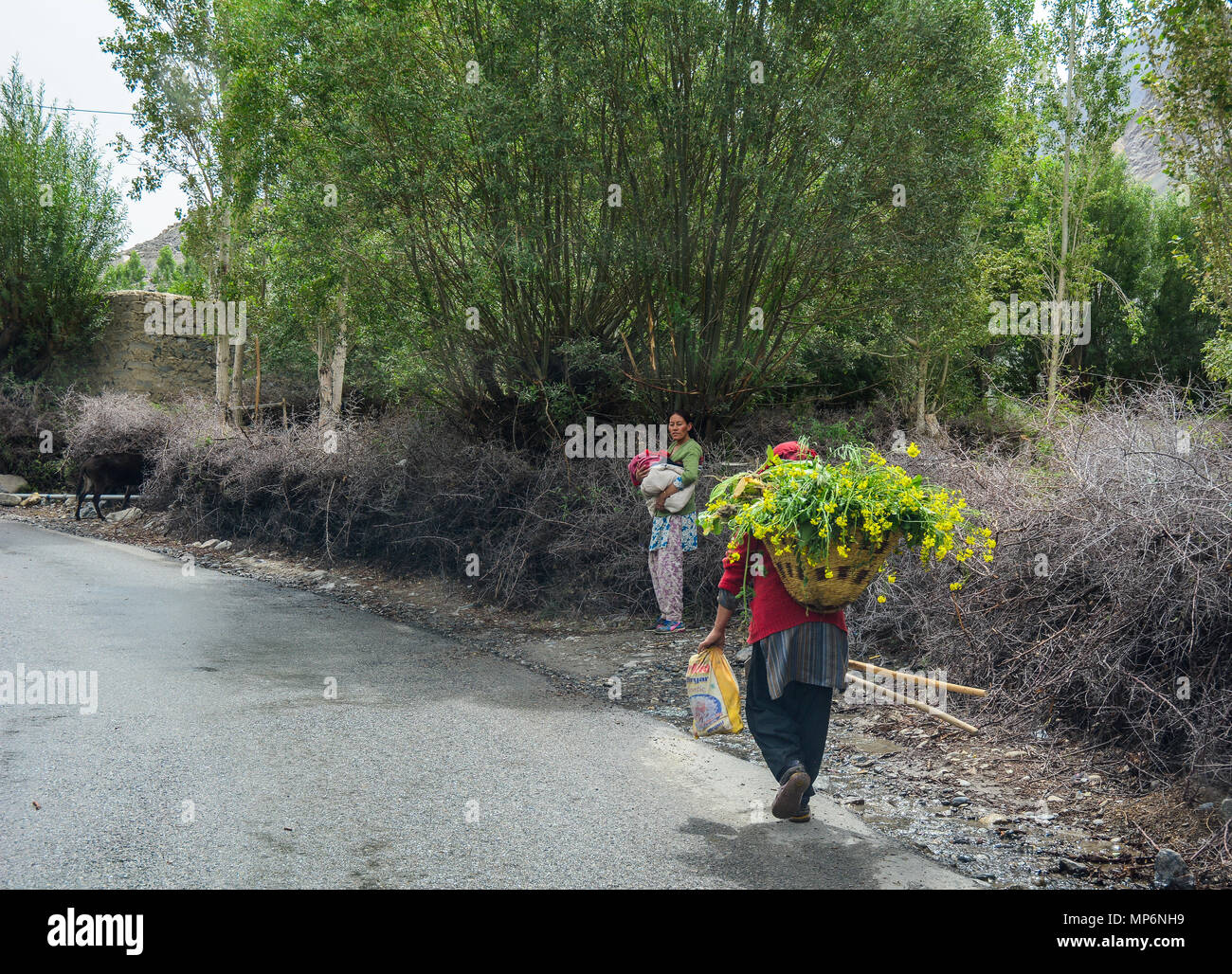 Ladakh, India - Jul 18, 2015. Tibetan people walking on rural road in ...