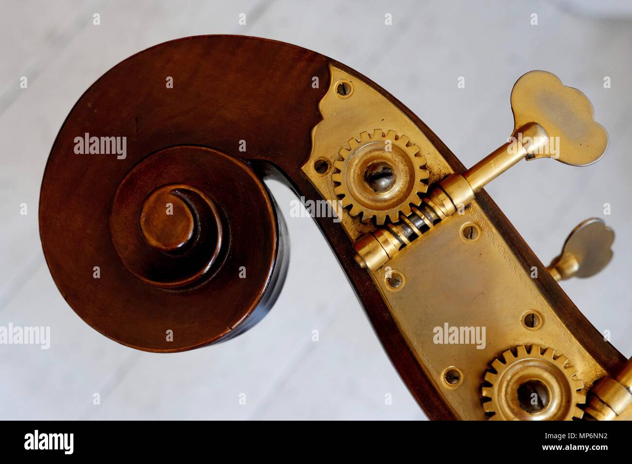 scroll and peg box from a double bass Stock Photo - Alamy