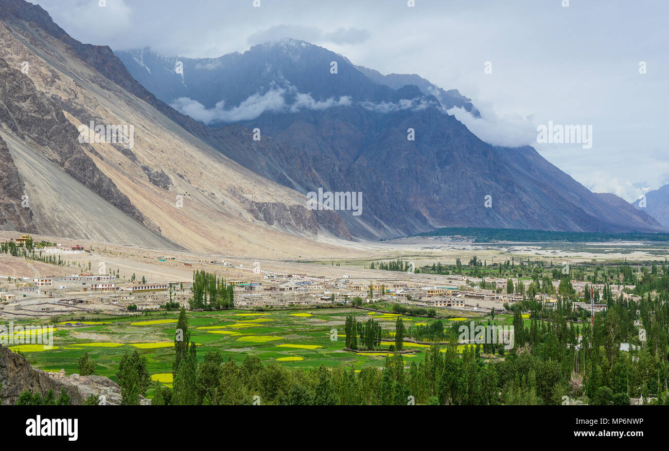 Mountain scenery with green valley in Ladakh, India Stock Photo - Alamy