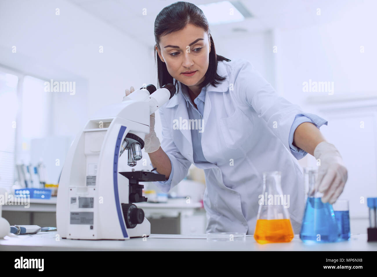 Concentrated female biologist working with a microscope Stock Photo - Alamy