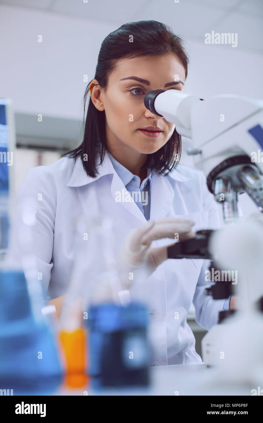 Intelligent biologist working in the lab Stock Photo - Alamy