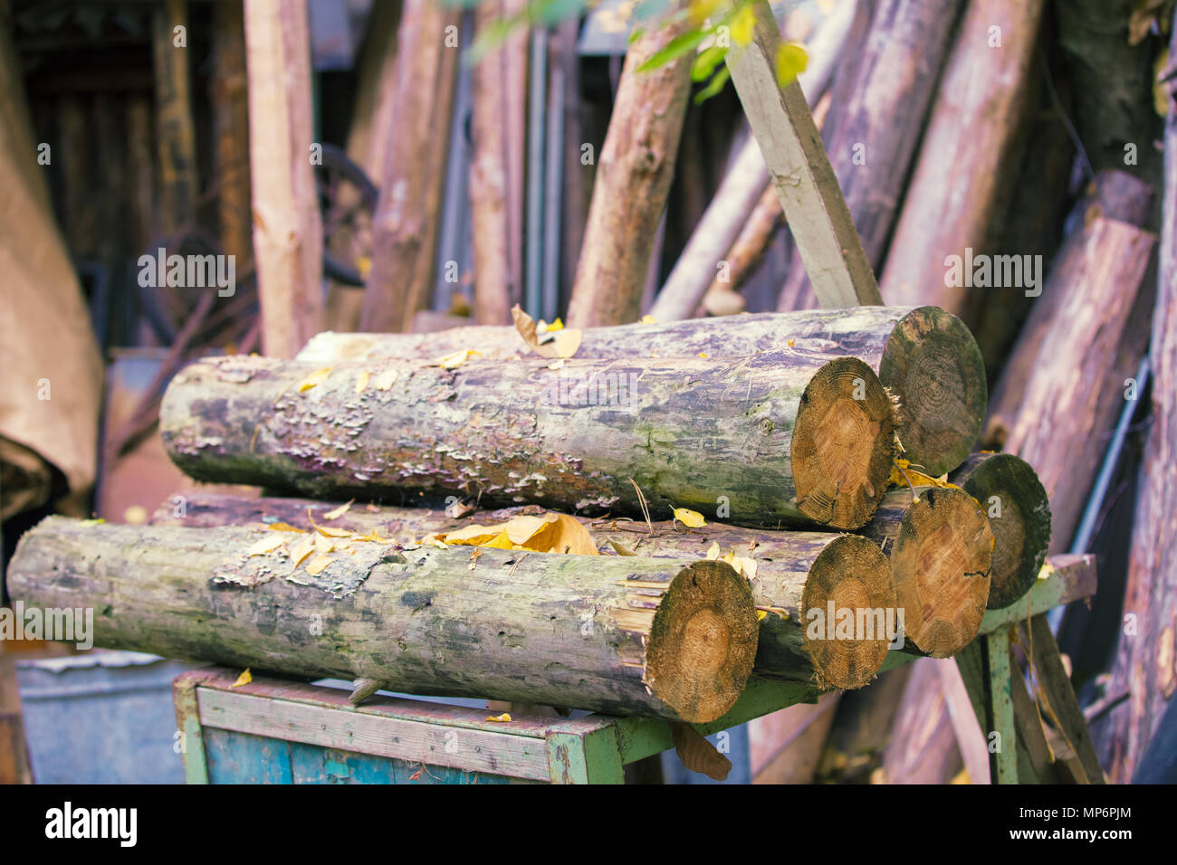 Stocking up firewood hi-res stock photography and images - Alamy