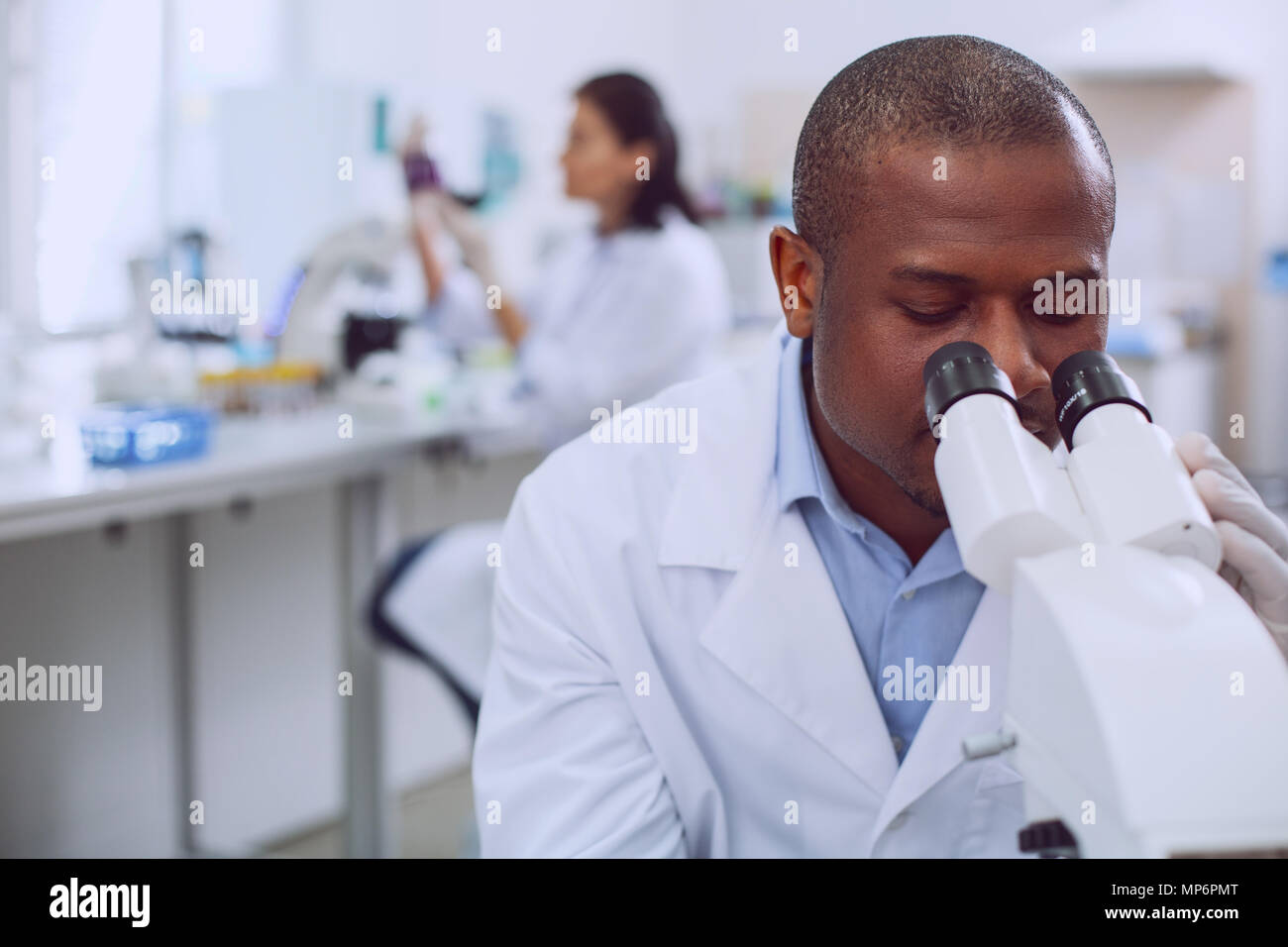 Professional bioengineer working in the lab Stock Photo - Alamy