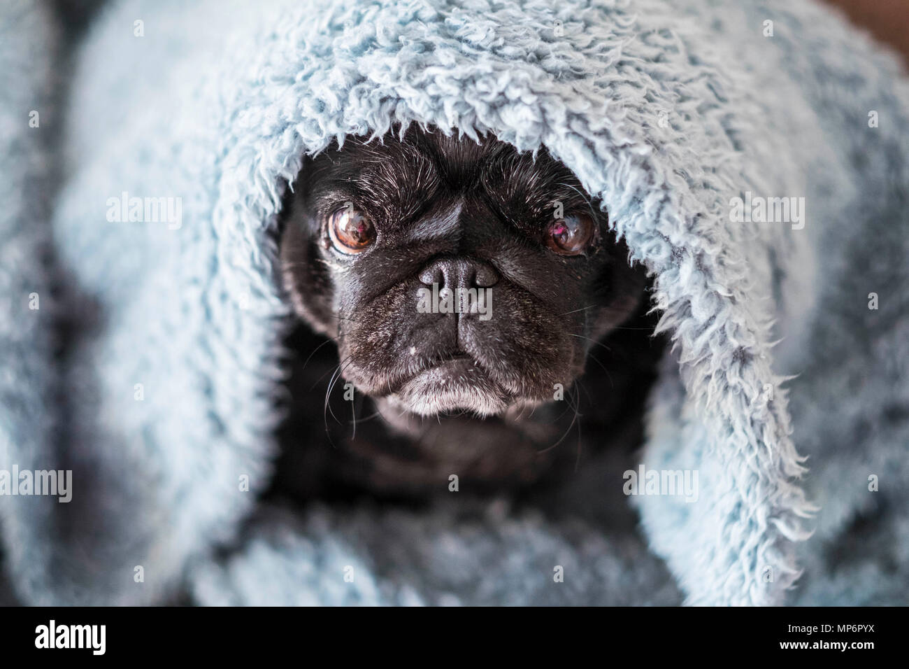 Rapper wallpaper hi-res stock photography and images - Alamy