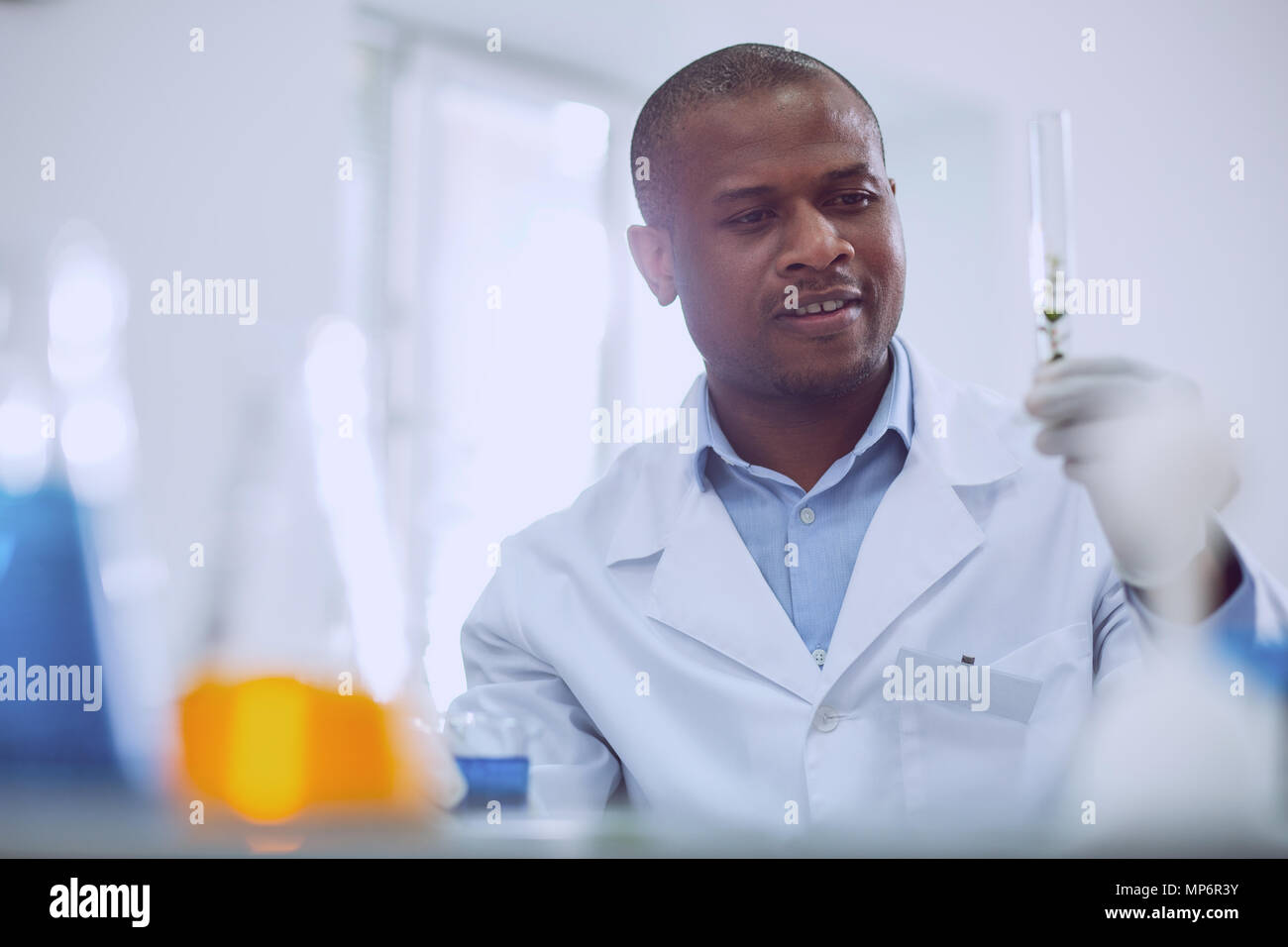 Test tube new medicine hi-res stock photography and images - Alamy