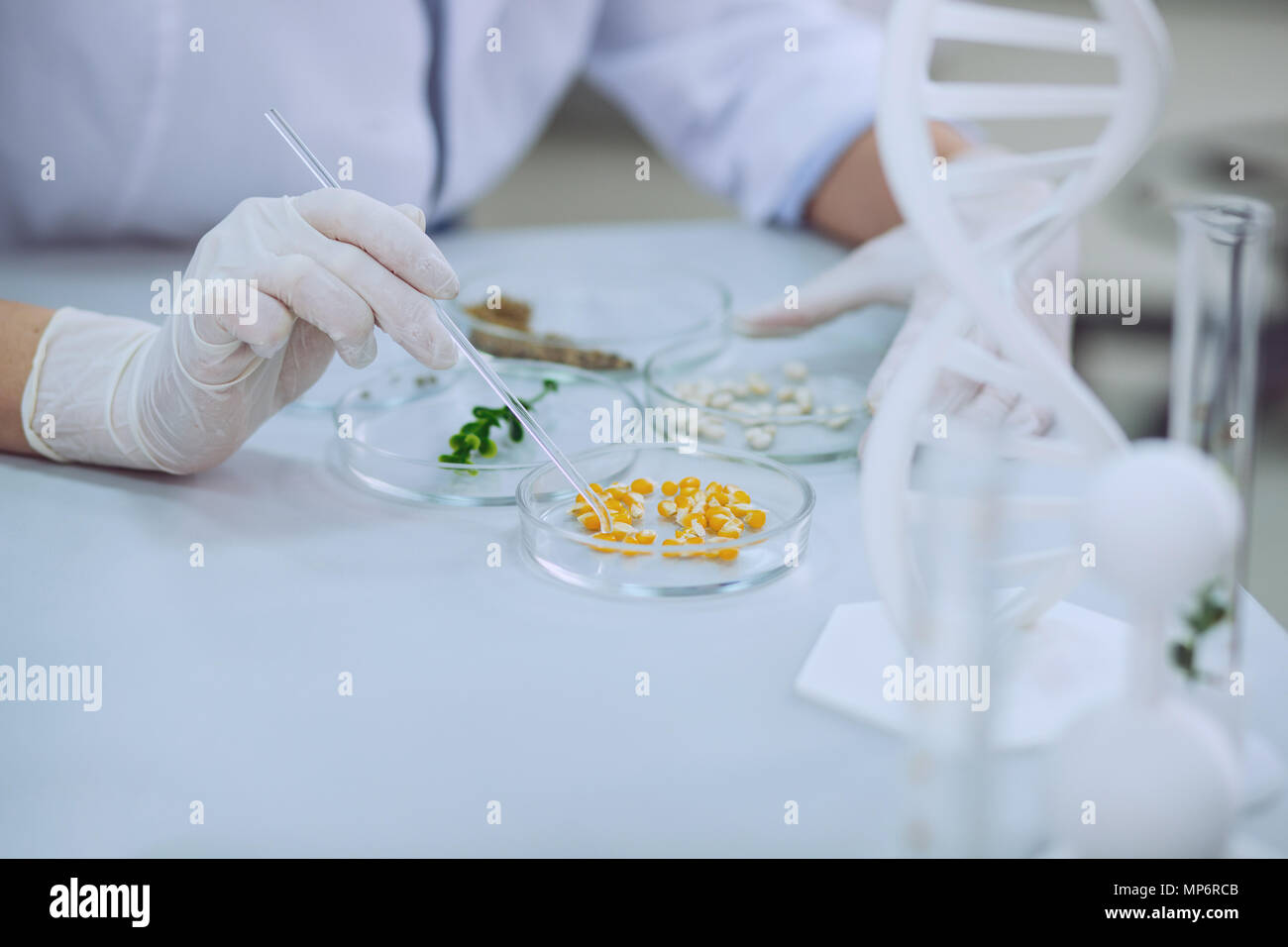 Bioengineer hi-res stock photography and images - Alamy