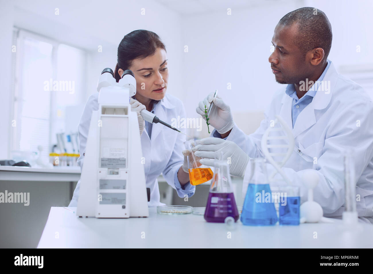 Researchers carrying out scientific hi-res stock photography and images ...