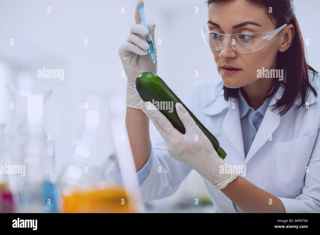 Smart skilled researcher testing a marrow squash Stock Photo - Alamy