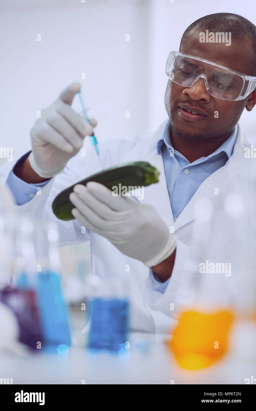 Skilled afro-american researcher testing a marrow squash Stock Photo ...