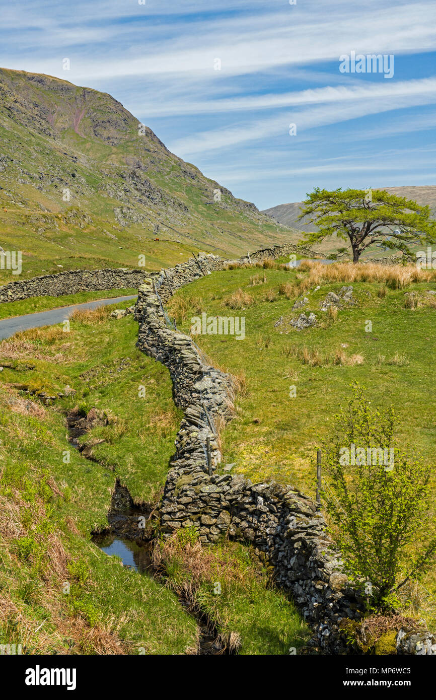 The View of Red Screes on the left from near the top of The Struggle, a ...