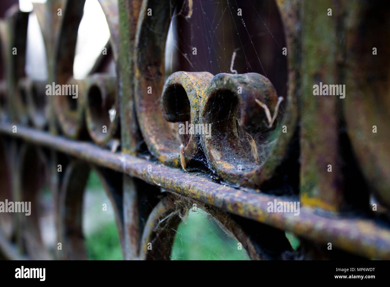 Boundary wall railings hi-res stock photography and images - Alamy