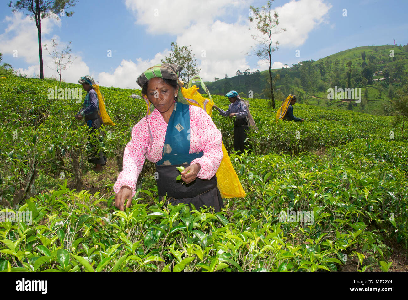 Hatton village hi-res stock photography and images - Alamy