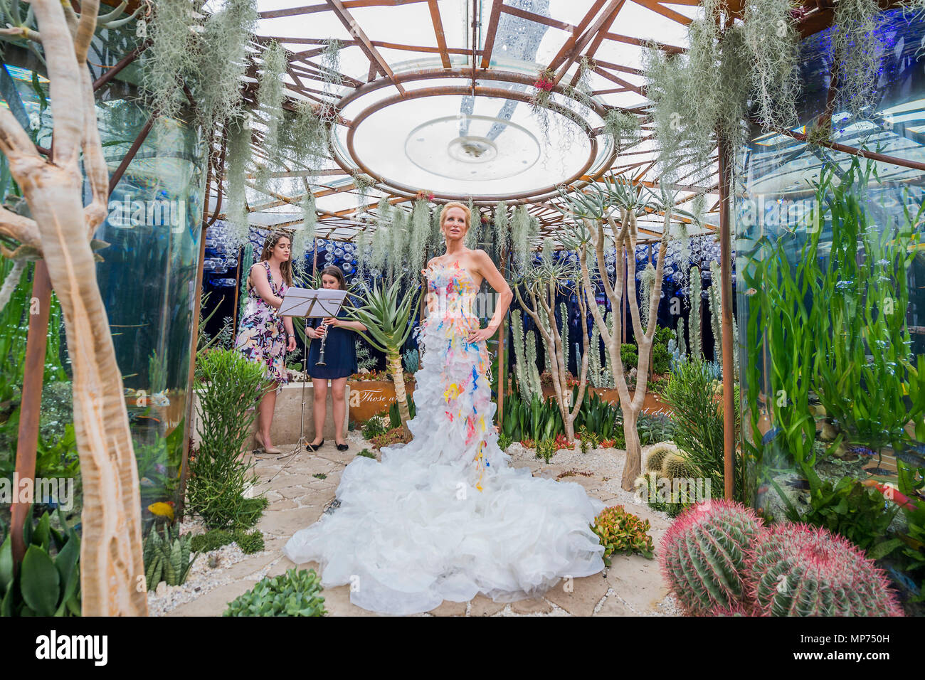 Tanya streeter hi-res stock photography and images - Alamy