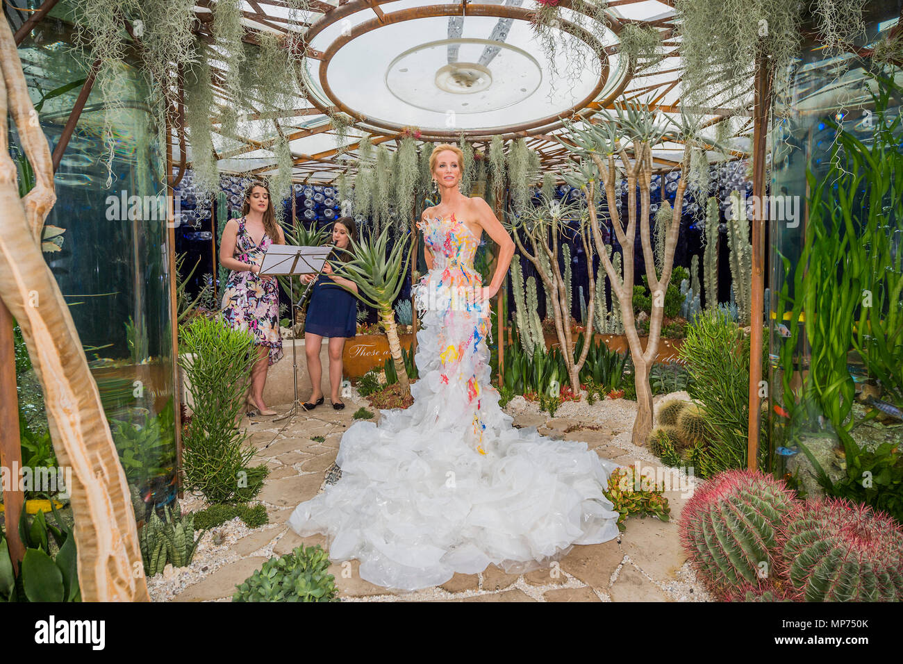 Tanya streeter hi-res stock photography and images - Alamy