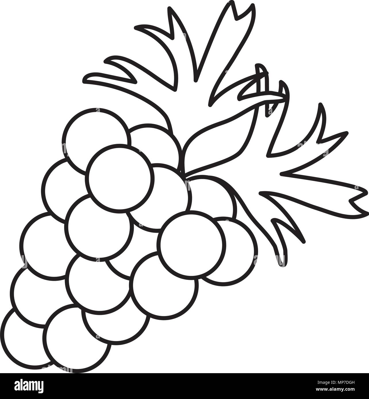 Cluster fruits Stock Vector Images - Alamy