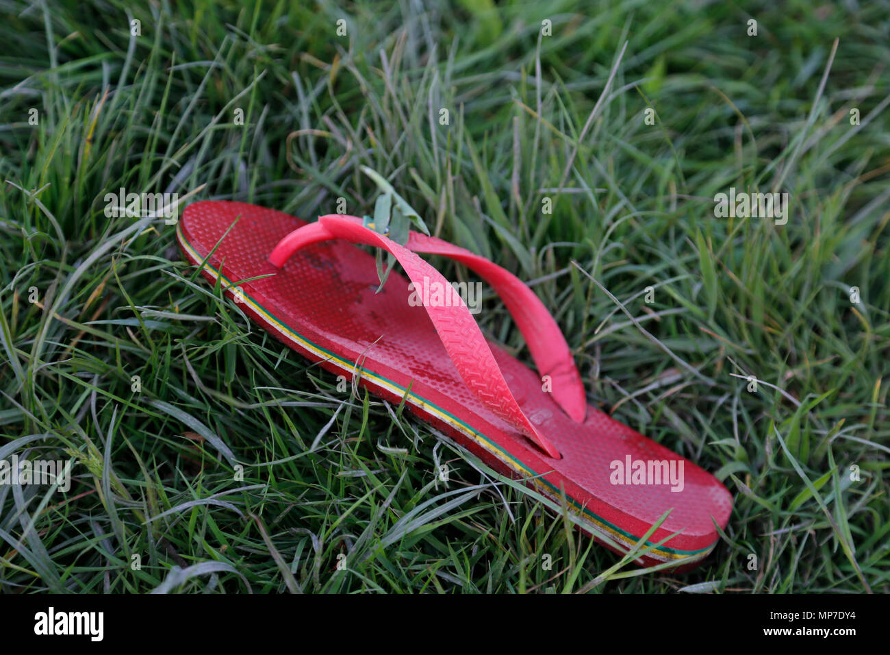 Red flip flop in grass Stock Photo - Alamy