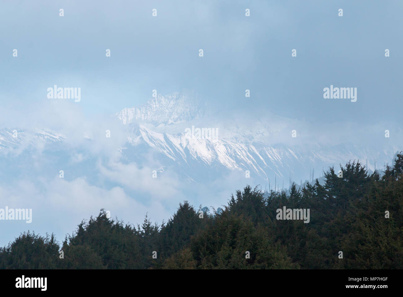 Snow capped high altitude mountains, viewed from the Bumdra trek in ...