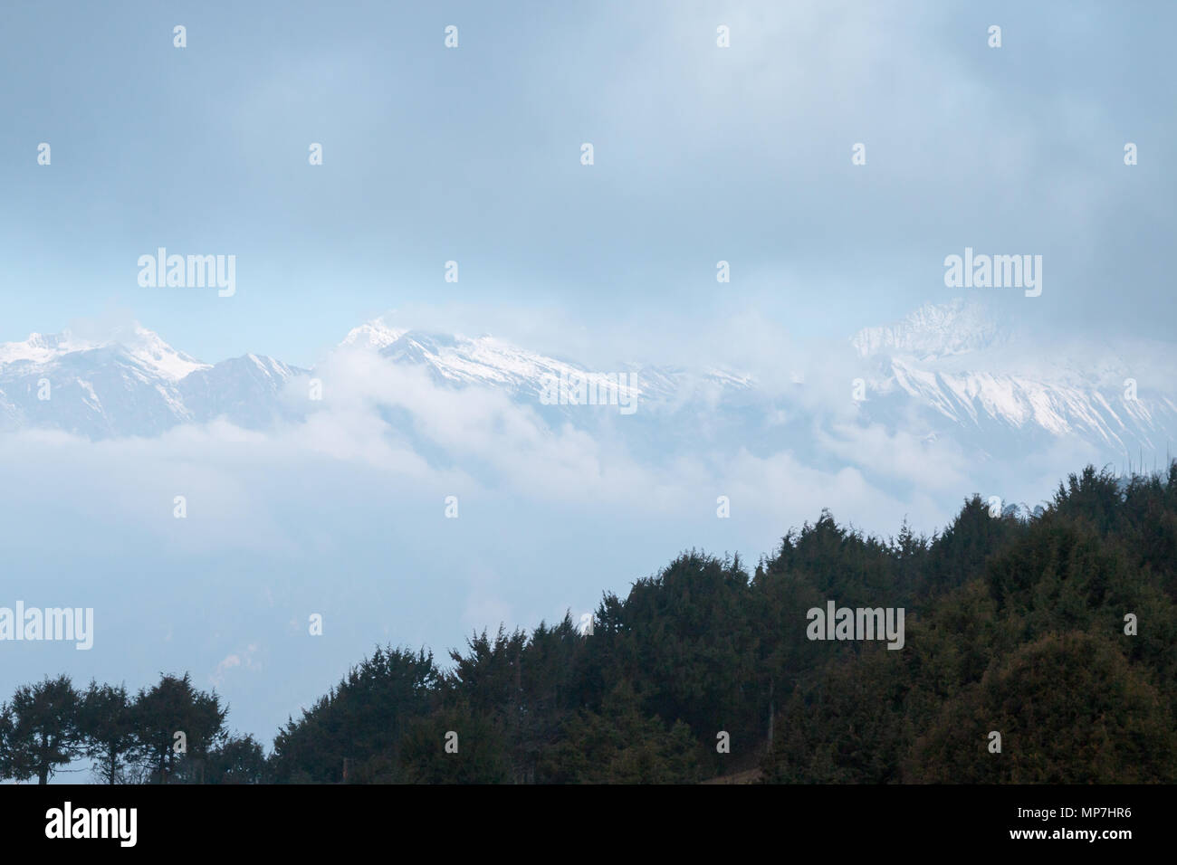 Snow capped high altitude mountains, viewed from the Bumdra trek in ...