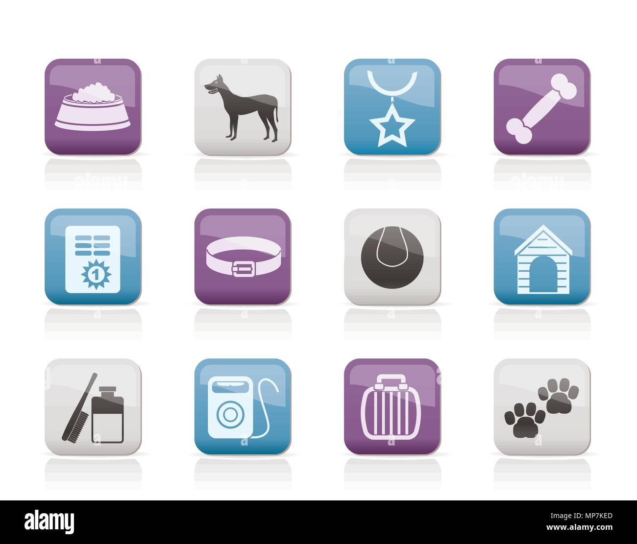 Dog accessory and symbols icons - vector icon set Stock Vector Image ...