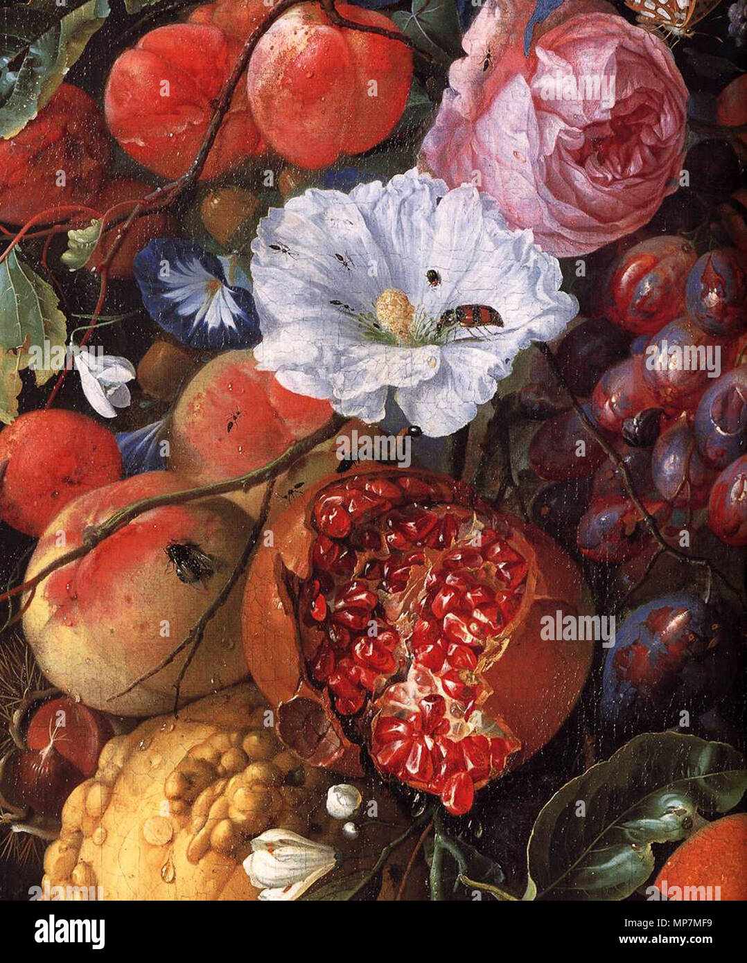 Festoon of fruit and flowers hi-res stock photography and images - Alamy