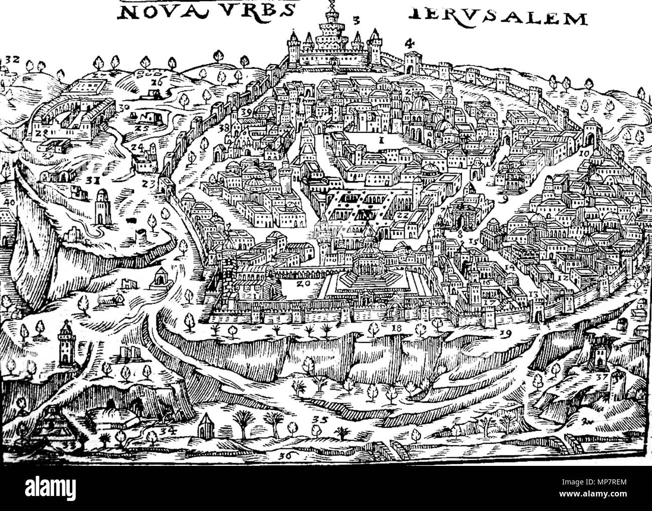 Willenberg hi-res stock photography and images - Alamy