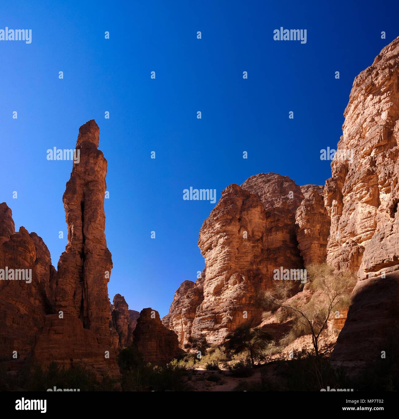 Bizzare rock formation at Essendilene in Tassili nAjjer national park ...