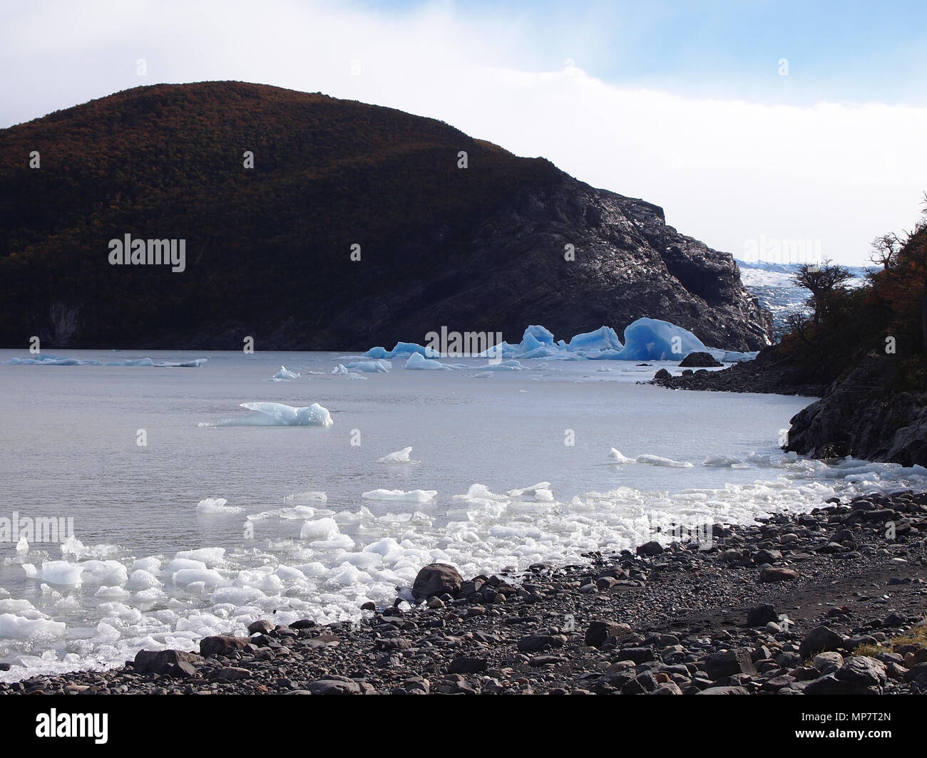 Glacier Grey in Torres del Paine National Park, Chile Stock Photo - Alamy