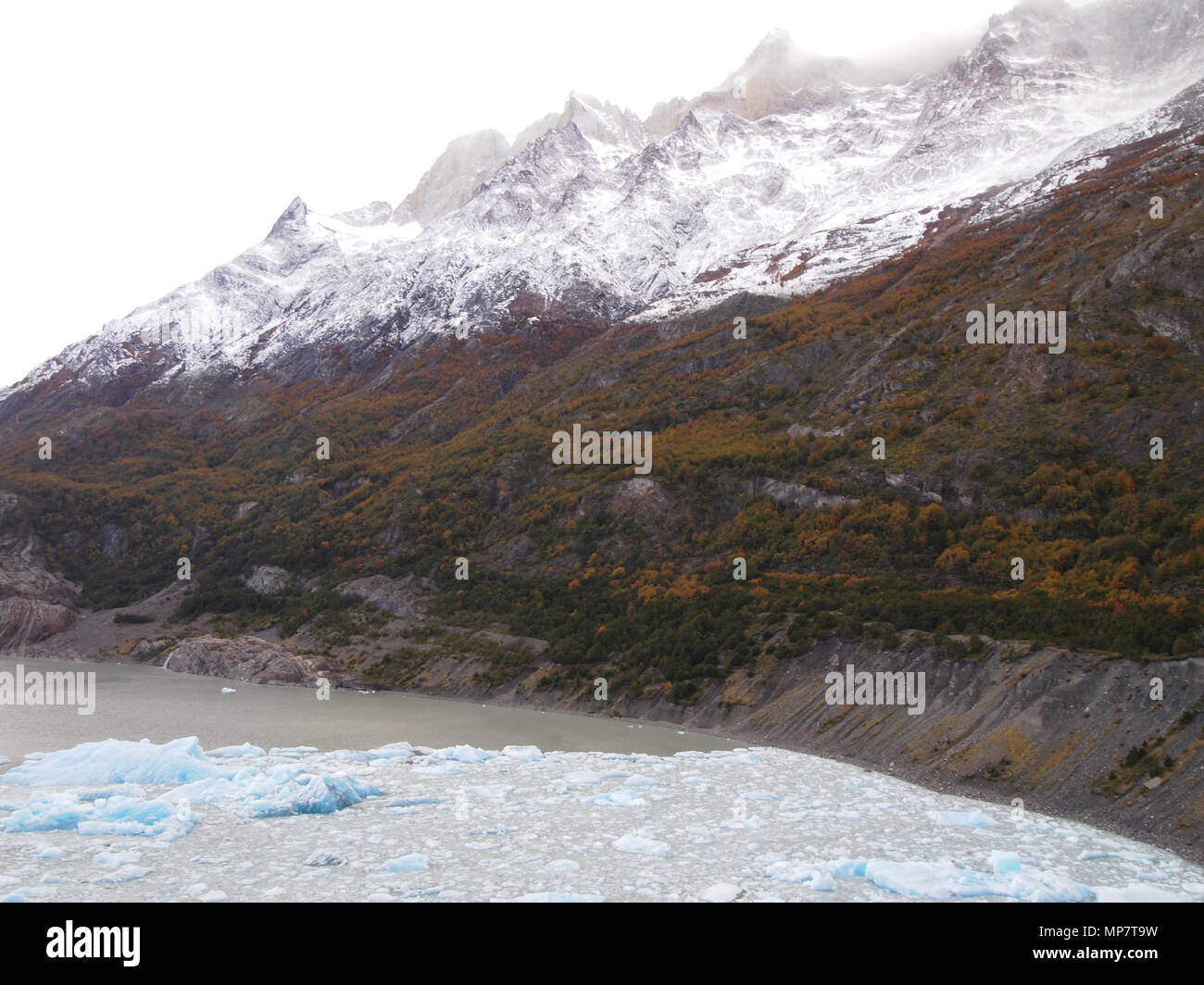 Glacier Grey in Torres del Paine National Park, Chile Stock Photo - Alamy