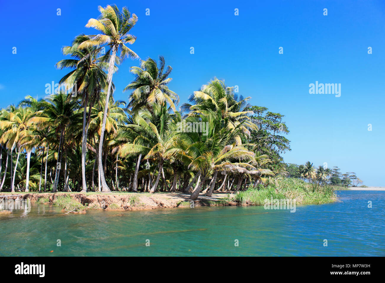 Baracoa cuba jungle hi-res stock photography and images - Alamy