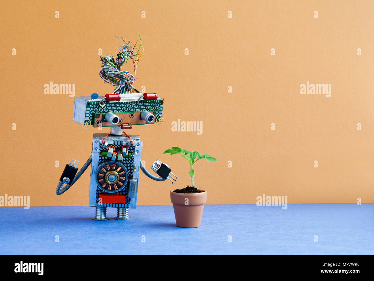 Genetic Mutation Flower High Resolution Stock Photography and Images ...