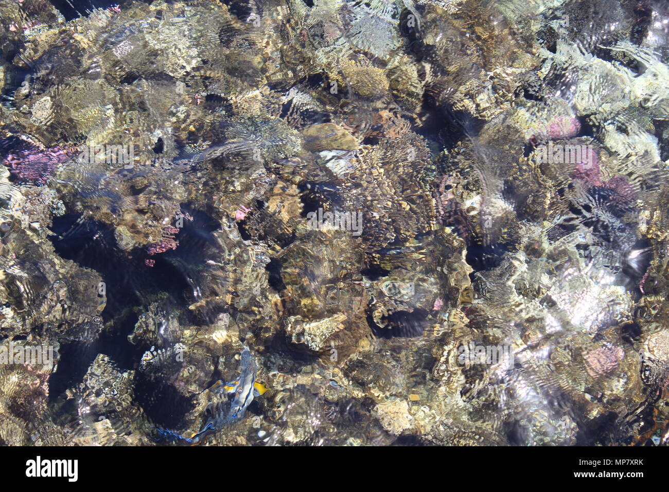 Soil and Sea Stock Photo - Alamy