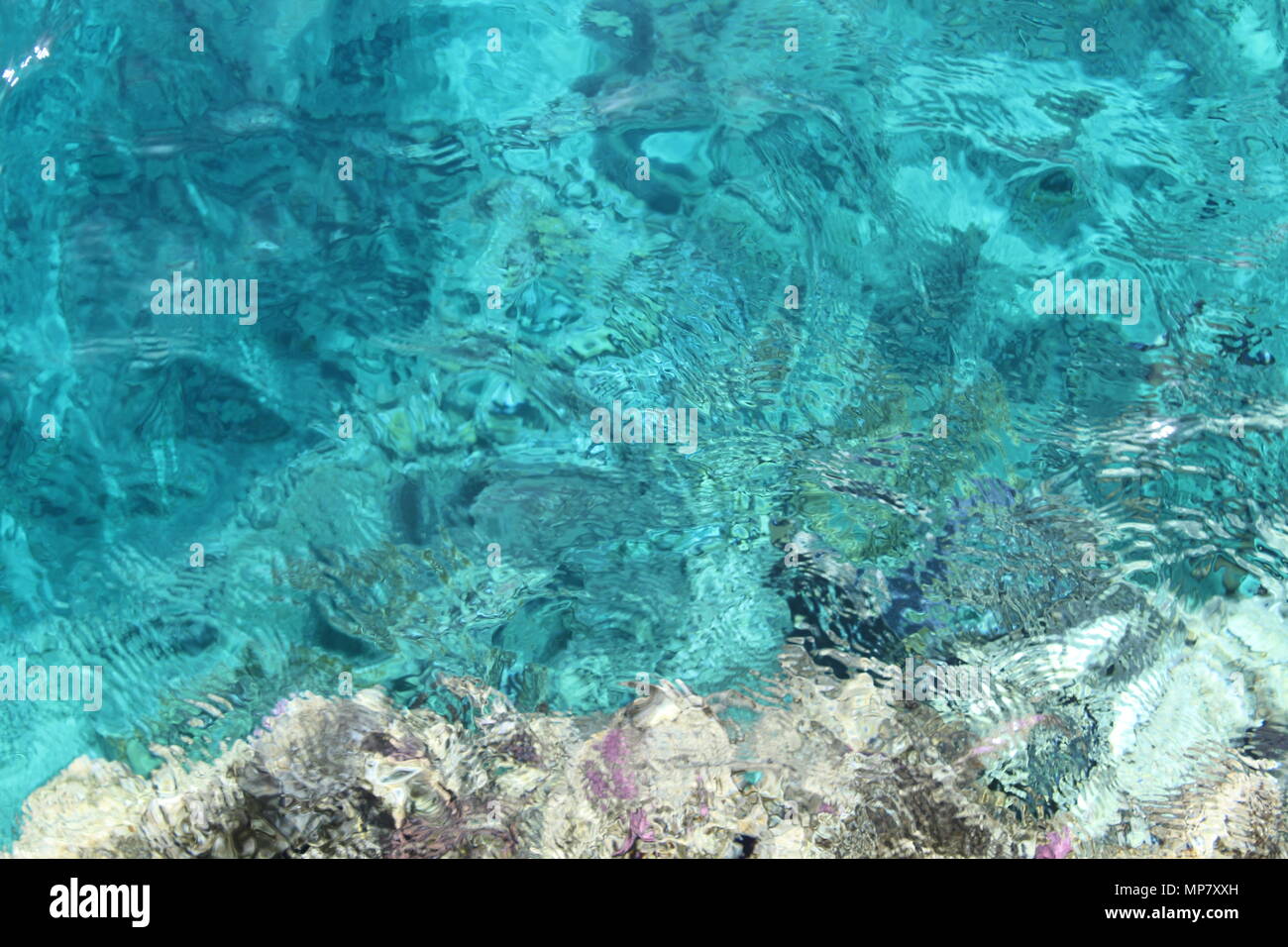 Aqua soil hi-res stock photography and images - Alamy