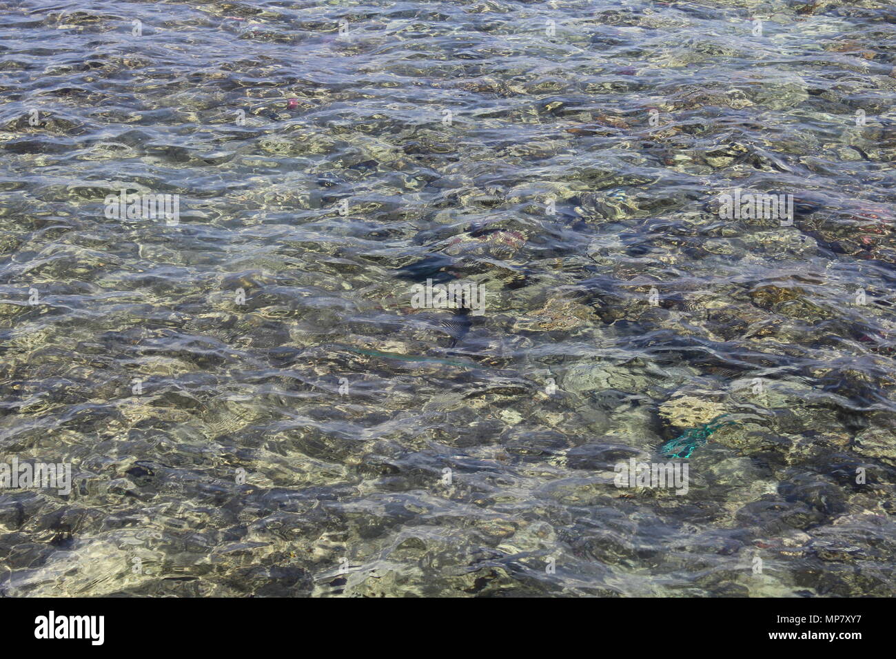 Soil and Sea Stock Photo - Alamy