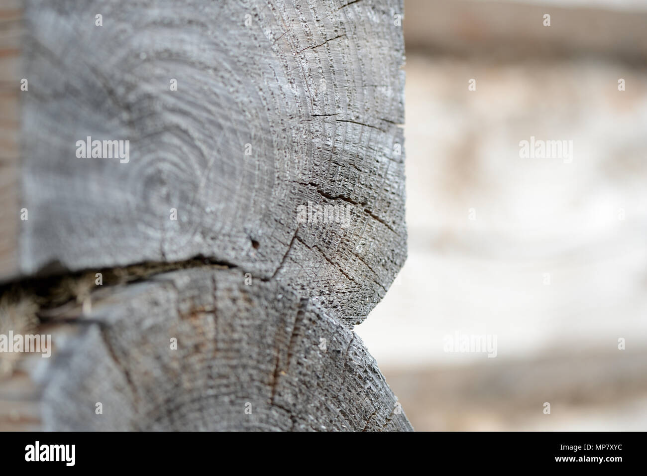 Wooden background in the form of a cut of an old log Stock Photo - Alamy