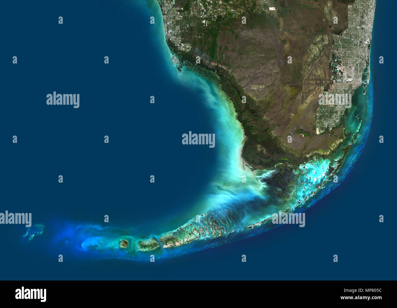 Southern Florida United States Stock Photo Alamy southern-florida-united-states-stock-photo-alamy