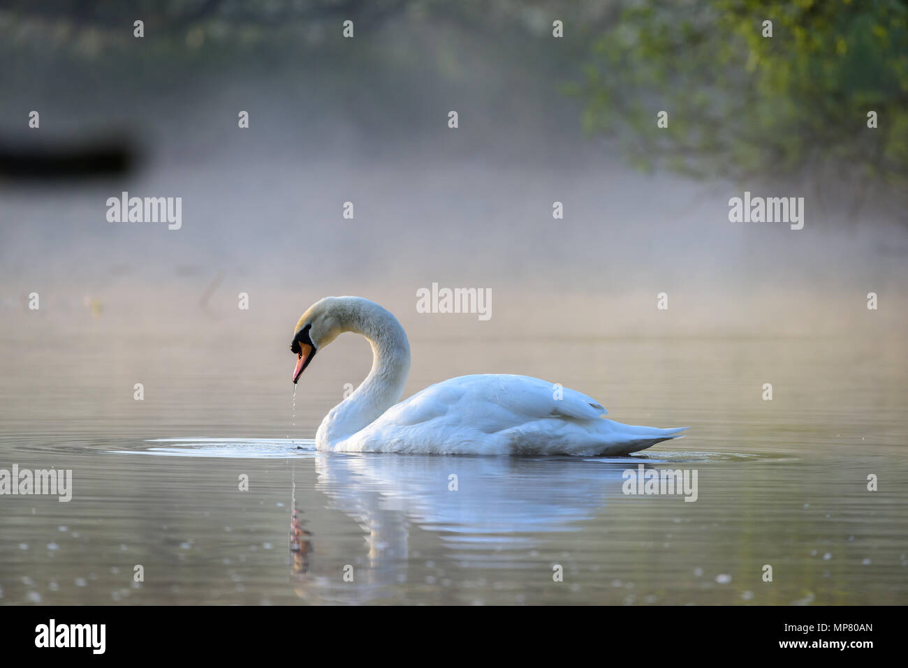 Sunrise calendar hi-res stock photography and images - Alamy
