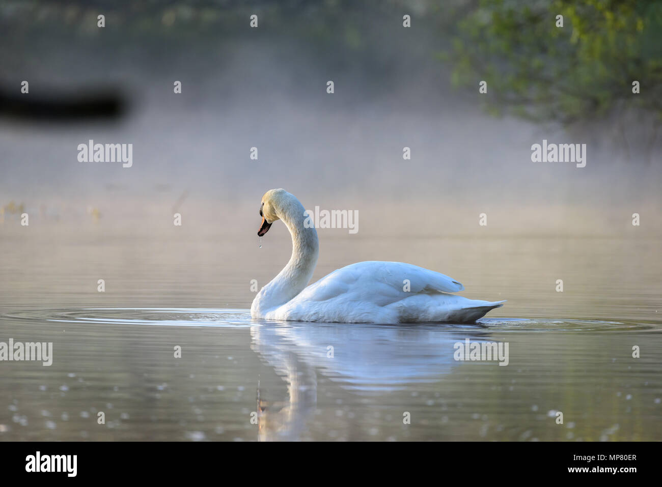 Sunrise calendar hi-res stock photography and images - Alamy