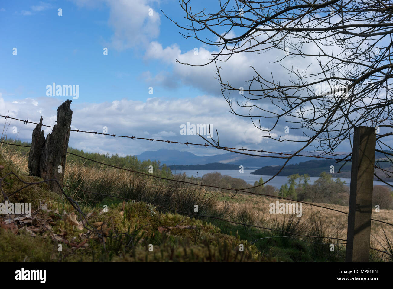 an old farm fence Stock Photo - Alamy