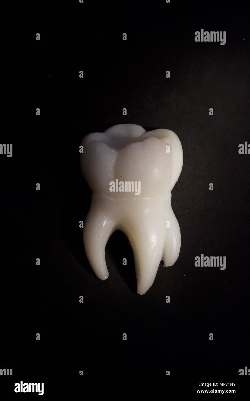 White tooth on a black background Stock Photo - Alamy