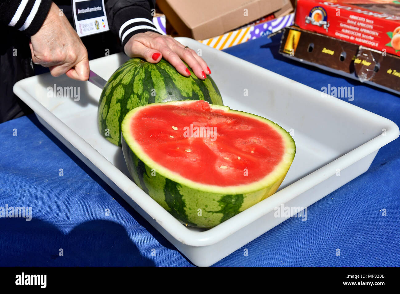 Planta de sandia hi-res stock photography and images - Alamy