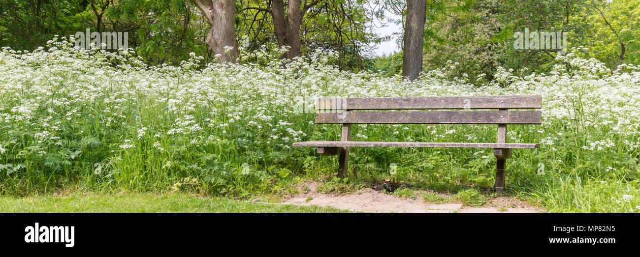Enclosed bench hi-res stock photography and images - Alamy