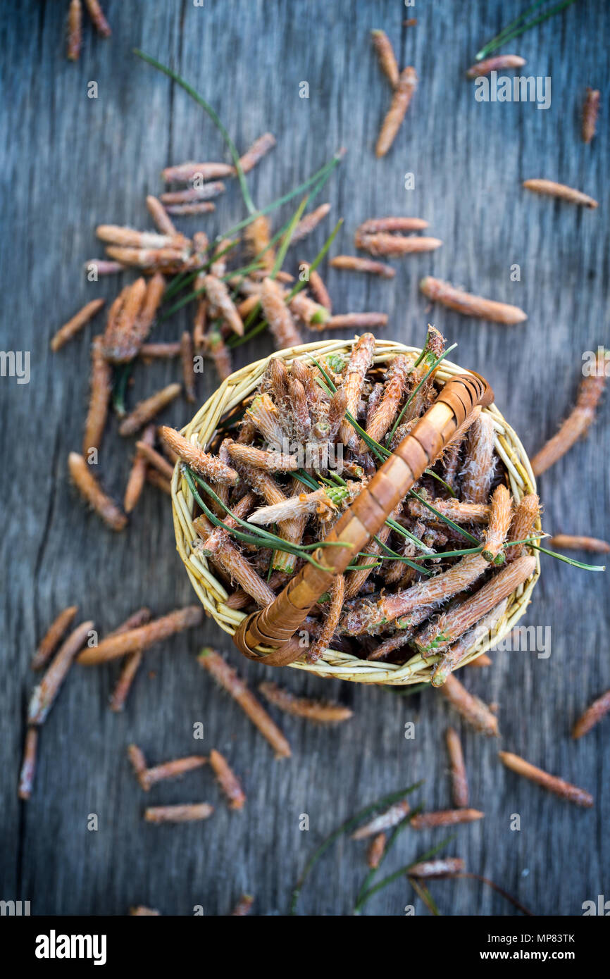 Drying needles hi-res stock photography and images - Alamy