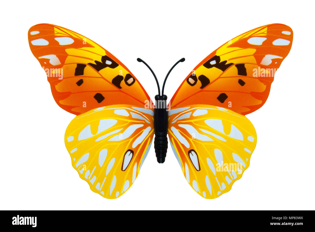 Beautiful colored butterfly isolated over white Stock Photo - Alamy