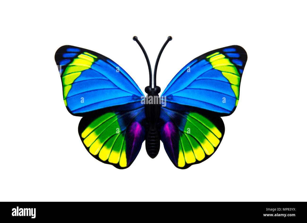 Beautiful colored butterfly isolated over white Stock Photo - Alamy