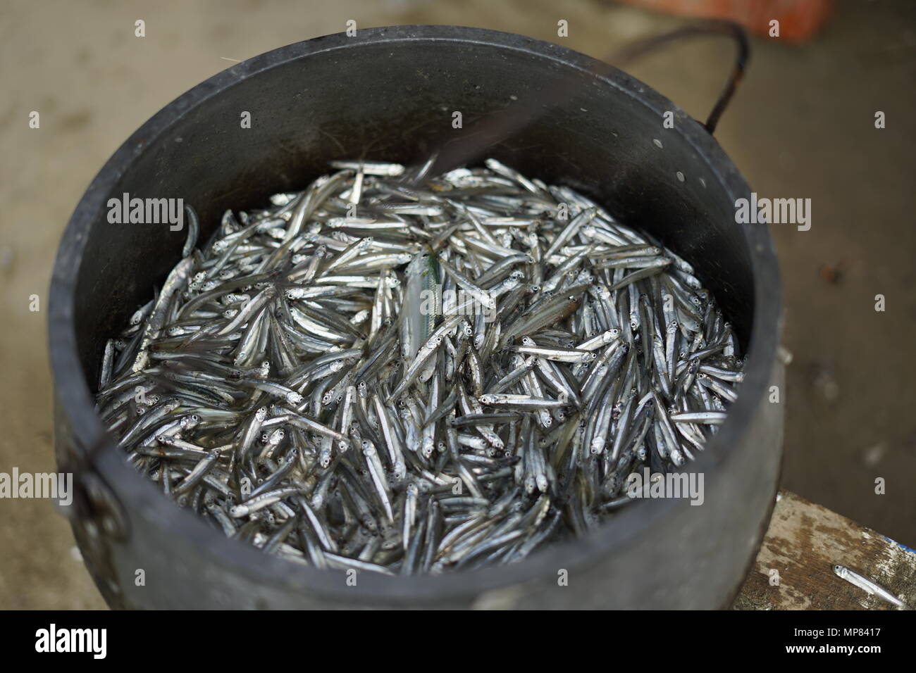 Anchovy trawler hi-res stock photography and images - Alamy