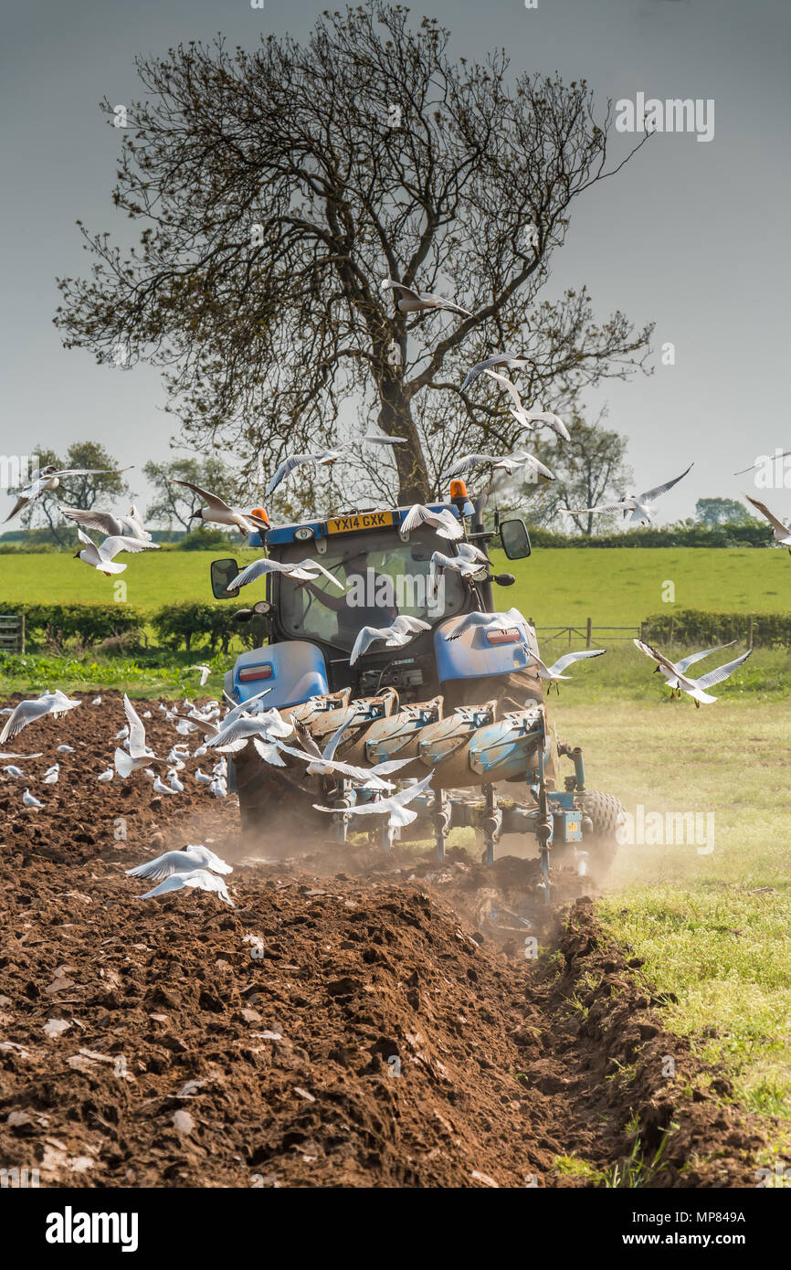 Dusty conditions hi-res stock photography and images - Alamy