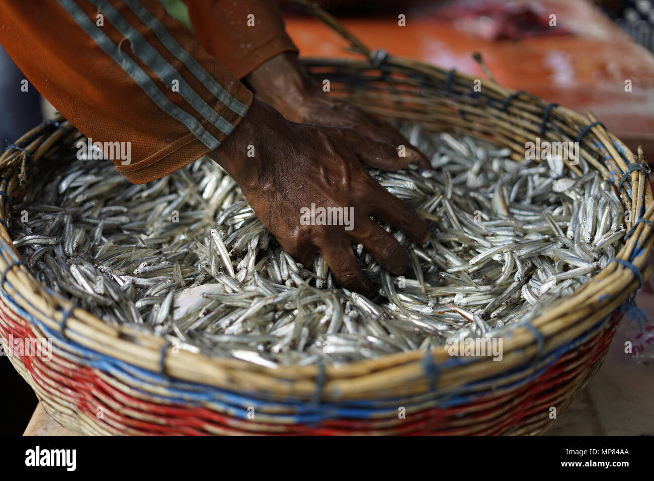 Anchovy trawler hi-res stock photography and images - Alamy