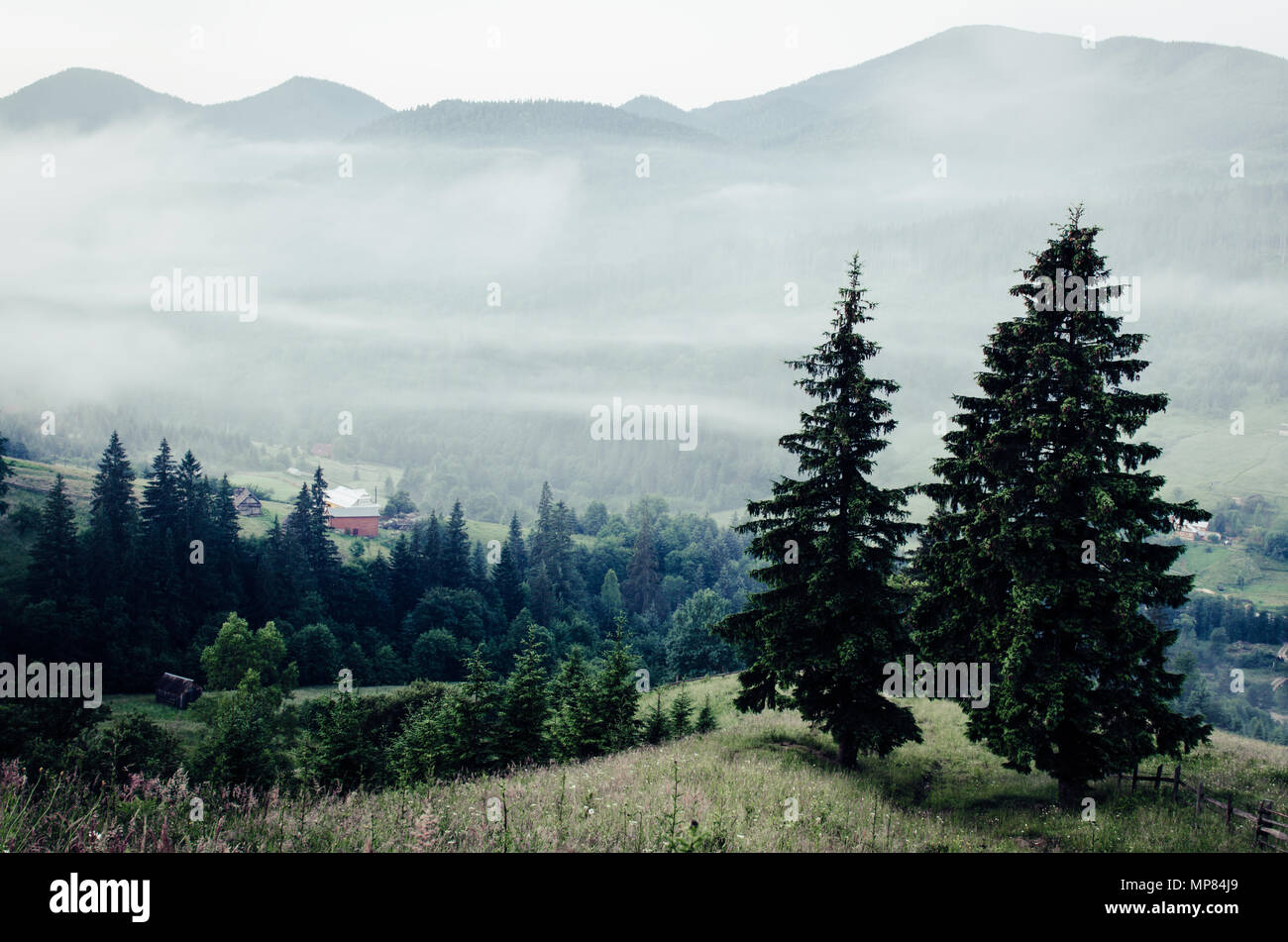 Amazinf view hi-res stock photography and images - Alamy