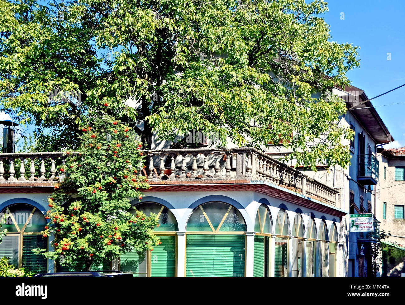Tree growing through the restaurant hi-res stock photography and images ...
