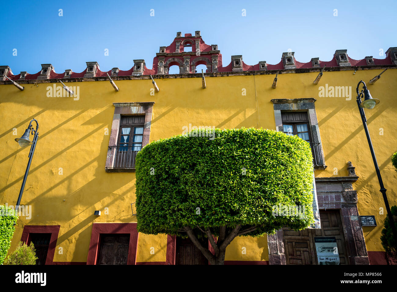 Plaza Civica with typical round shaped trees, San Miguel de Allende, a ...